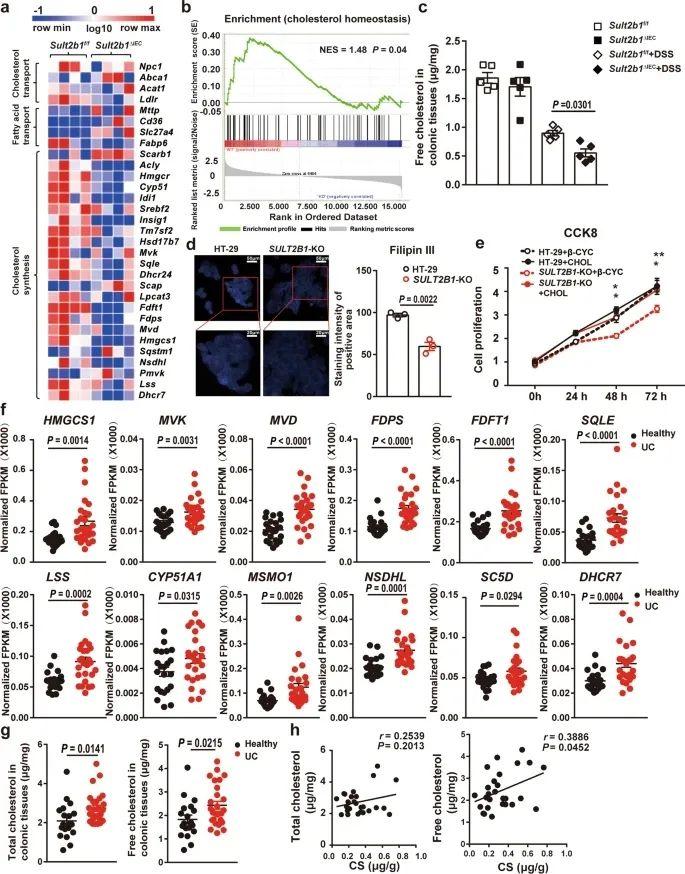 【项目文章】Nat Commun|IF17！通过靶向+空间代谢组+转录组联合探究结肠炎缓解机制 - 知乎