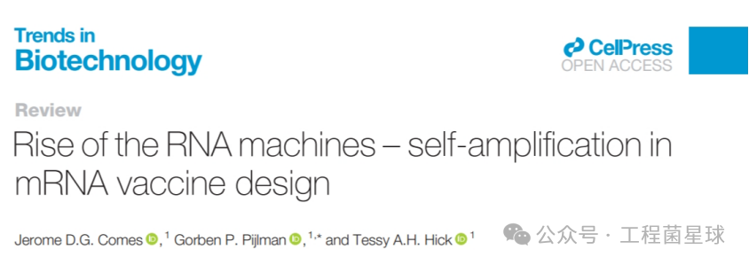 【耀文解读】mRNA技术的新星—自复制RNA(saRNA)技术的回顾与展望 - 知乎