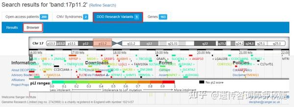 Decipher v9.26数据库使用方法 - 知乎