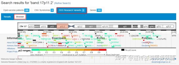 Decipher v9.26数据库使用方法 - 知乎