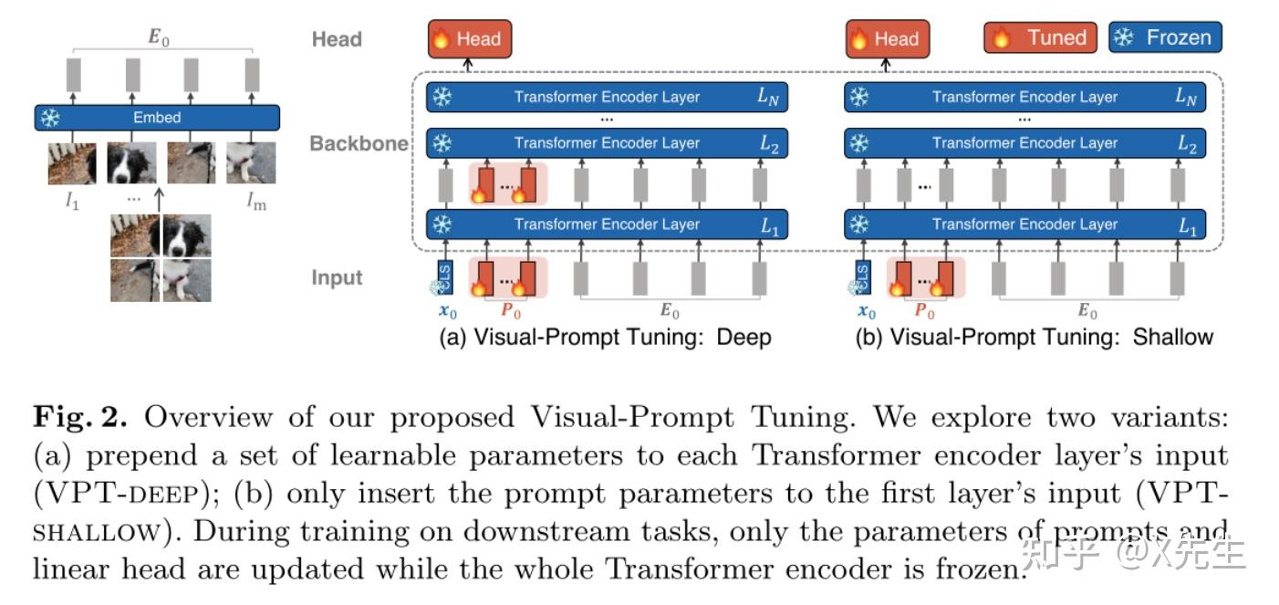 《Visual Prompt Tuning》视觉prompt - 知乎