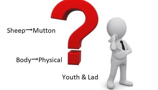 专栏导读 - 知乎