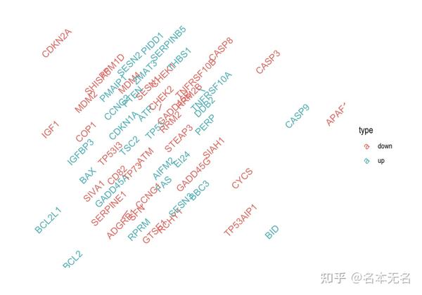 R 数据可视化 —— ggraph 节点与边 - 知乎