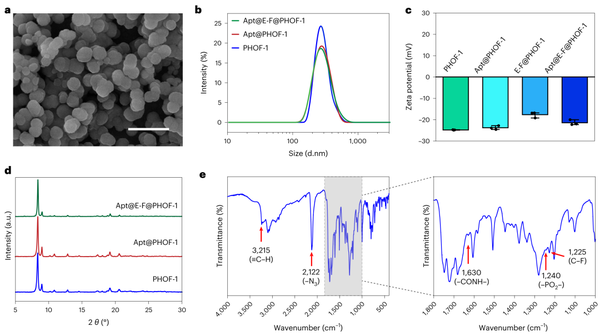生物正交化学新突破！曲晓刚团队最新Nature Catalysis - 知乎