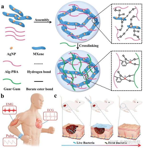 北京化工万鹏博团队最新《AFM》：Mxene基导电水凝胶用于可穿戴式智能人机交互 - 知乎