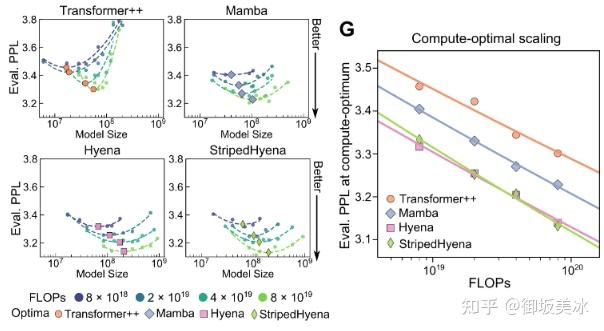 验证DNA大模型缩放定理!Evo实现从分子到基因组尺度的预测和生成 - 知乎