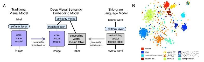 DeViSE: A Deep Visual-Semantic Embedding Model - 知乎