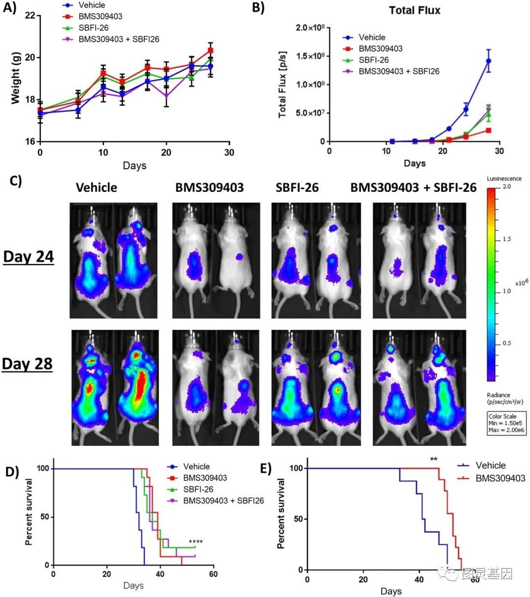 eLife | 靶向脂肪酸结合蛋白破坏多发性骨髓瘤细胞周期进程和MYC信号 - 知乎