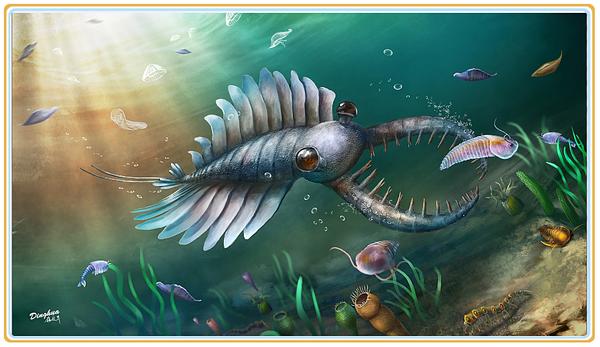 《生物简史图鉴》寒武纪之中国1（澄江动物群为主） - 知乎
