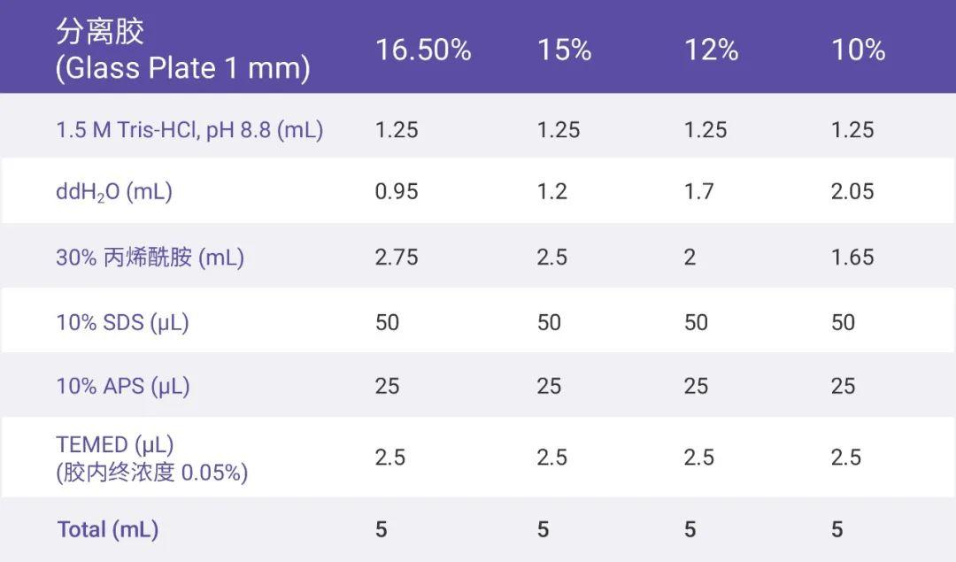 怎么做 Western blot？- MedChemExpress - 知乎