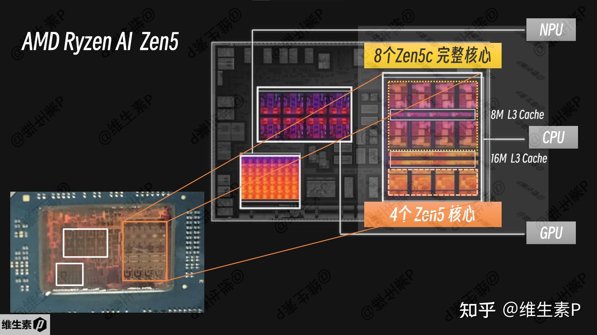 【维P科普】YES，但没完全YES -- AMD 最新移动端处理器 CPU 解析 Strix Point Zen5 锐龙 AI 300 系列 - 知乎