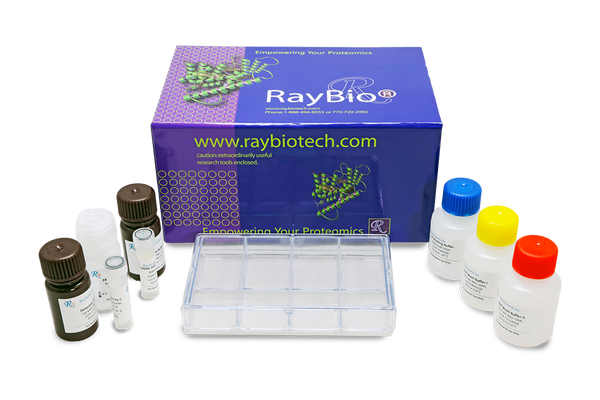 RayBio助力科研机构开发促皮肤伤口愈合新材料|Advanced Healthcare Materials（IF:11.092） - 知乎