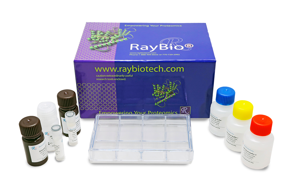 RayBio助力科研机构开发促皮肤伤口愈合新材料|Advanced Healthcare Materials（IF:11.092） - 知乎