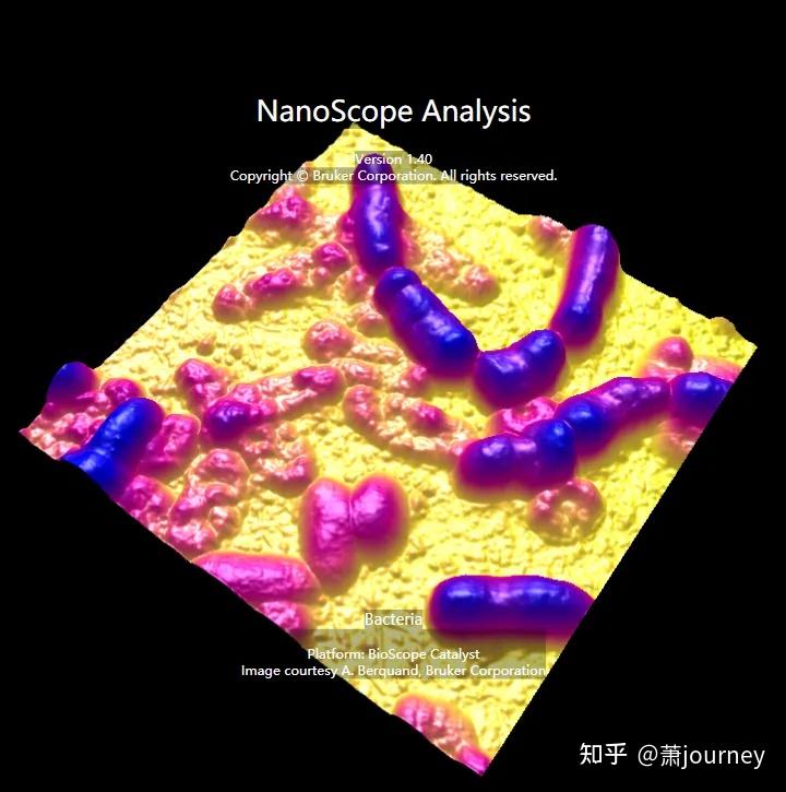 全网最全！AFM数据处理软件Nanoscope Analysis安装教程（附安装包），以及使用教程！ - 知乎
