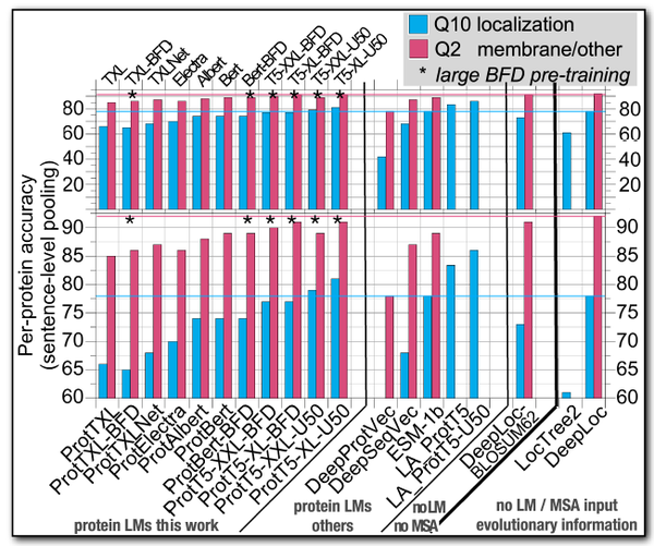 [论文总结] ProtTrans：Toward Understanding the Language of Life Through Self ...