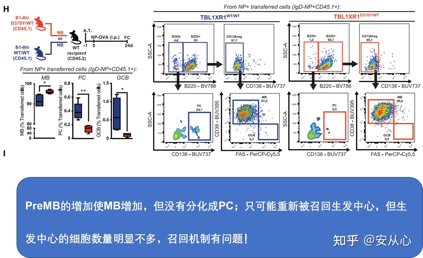 TBL1XR1突变通过诱导促肿瘤程序驱动结外淋巴瘤 - 知乎