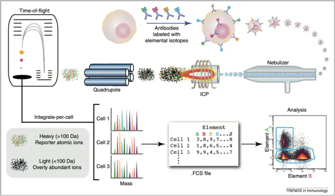 博奥晶典单细胞组学平台再添新成员——CyTOF质谱流式 - 知乎