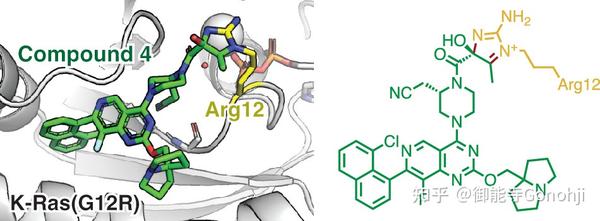 新型小分子亲电结构对K-Ras(G12R)实现共价加成修饰 - 知乎