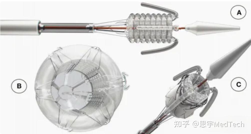 一文浅析高分子心脏瓣膜 - 知乎