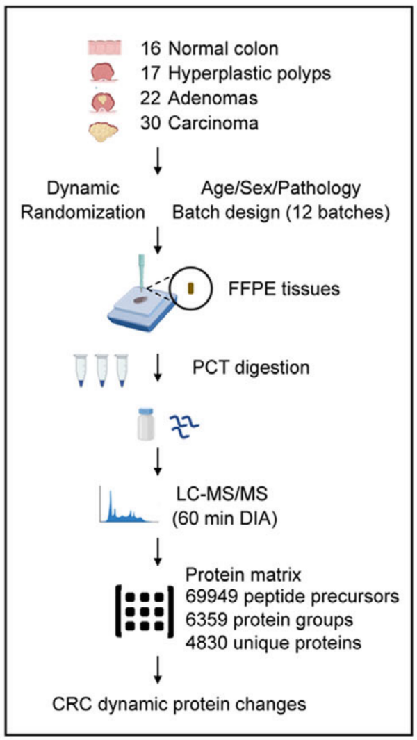 文献解读 | DIA蛋白组学技术在FFPE切片样本中发掘结直肠癌潜在治疗新靶点 - 知乎