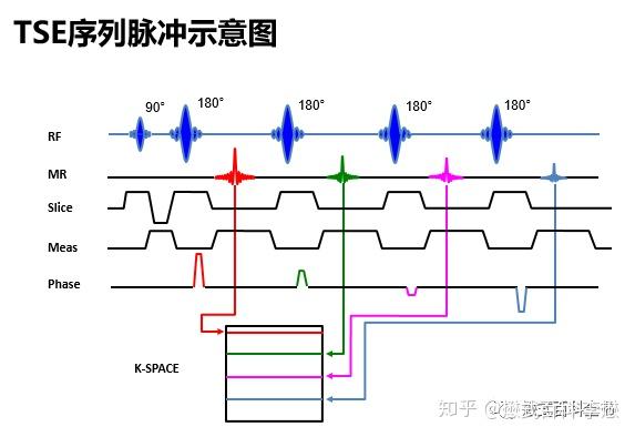 TSE vs mSE - 知乎
