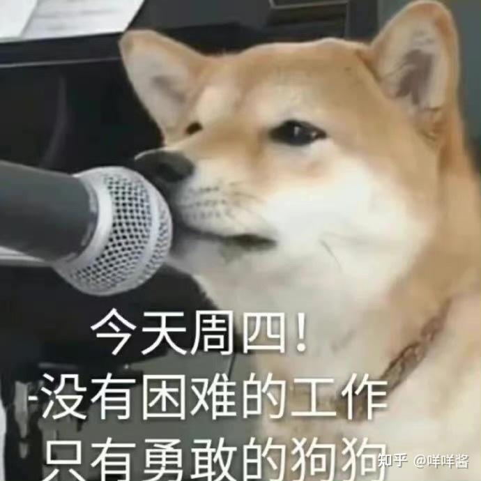 打工人表情包|职场上班摸鱼 知乎