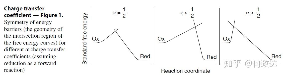 Transfer Coefficient究竟是什么？ - 知乎
