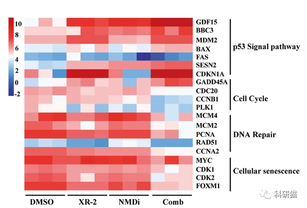 【Hiplot 生物医学可视化平台】助力影响因子7.1分，Q2区文章发表 - 知乎