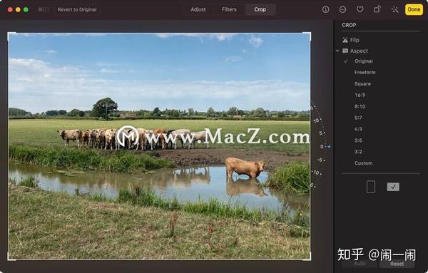 如何在Mac上裁剪图片，教你几个技巧 - 知乎