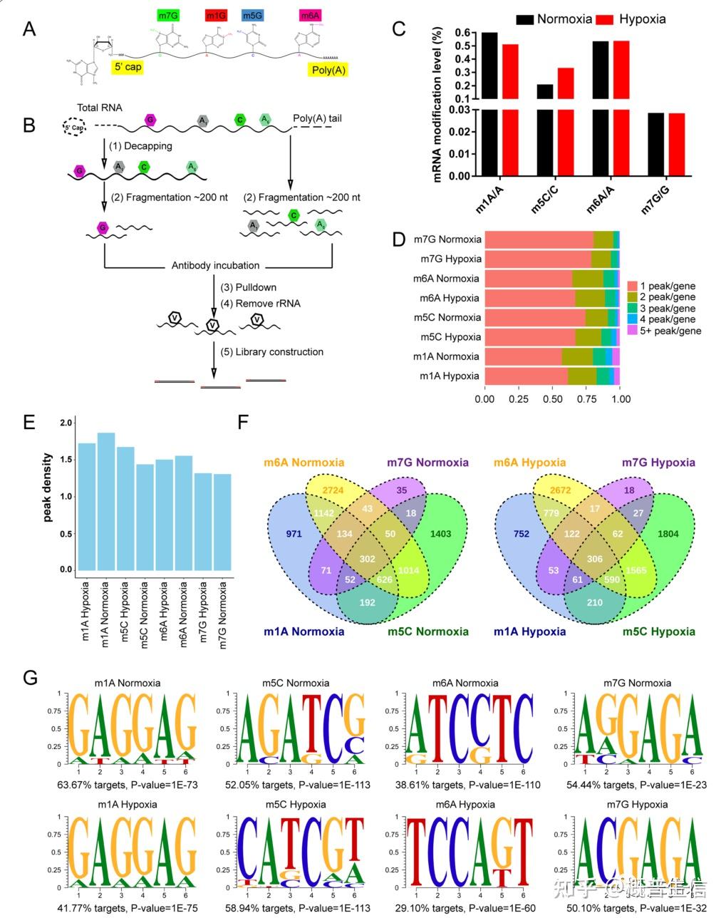 生信分析知道m6A还不够,m7G这个热点get了吗？ - 知乎