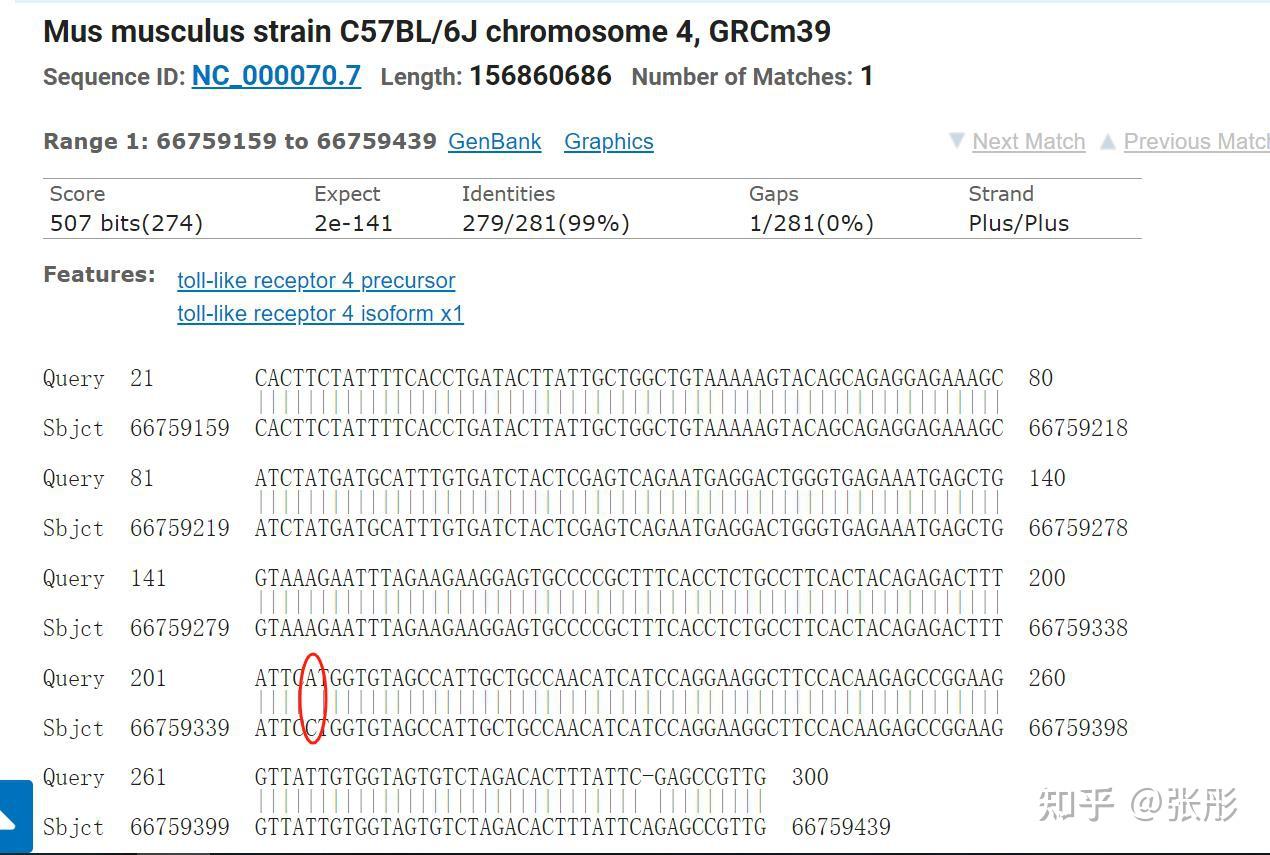 C3H小鼠超全资料｜C3H/HE小鼠来源、特点验证数据 - 知乎