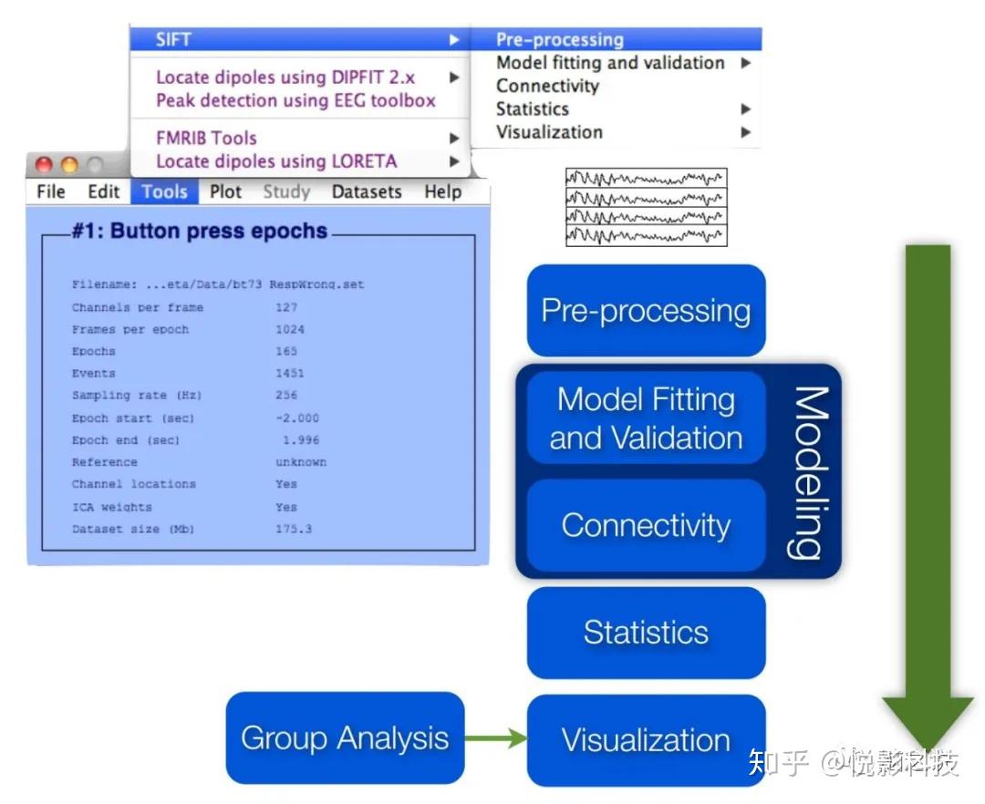 EEG有效连接工具包SIFT的介绍与安装 - 知乎