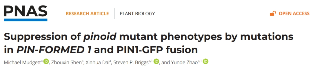 PNAS | 广泛应用的PIN1-GFP融合蛋白导致植物不需要PID：重新思考PIN1和PID之间的关系 - 知乎