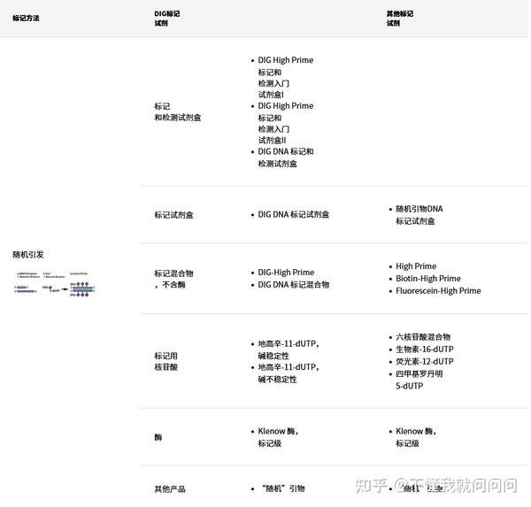 默克生命科学 | 地高辛 (DIG) 标记方法 - 知乎