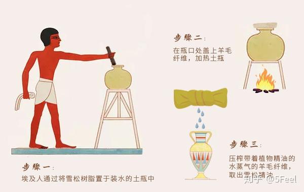 你不知道的芳香疗法，古埃及如何萃取精油？ - 知乎