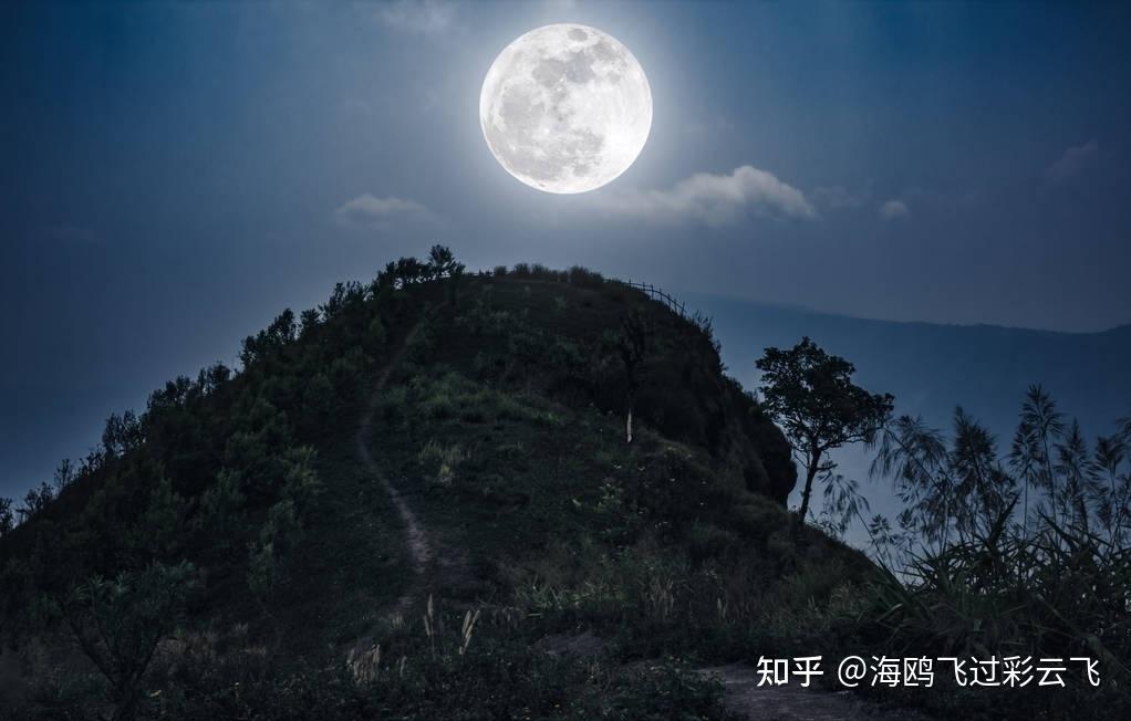 《月下独酌·其一》 李白 〔唐代〕 花间一壶酒，独酌无相亲。 举杯邀明月，对影成三人。 月既不解饮，影徒随我身。 暂伴月将影，行乐须及春。 我歌月徘徊，我舞影零乱。 知乎