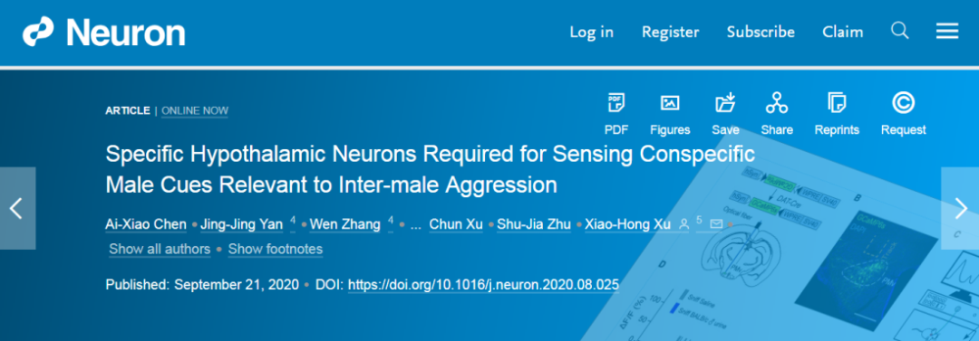 【客户文章】Neuron：中科院发现编码同类雄性特征的神经机制 - 知乎