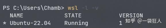 轻松搬迁！教你如何将WSL从C盘迁移到其他盘区，释放存储空间！ - 知乎