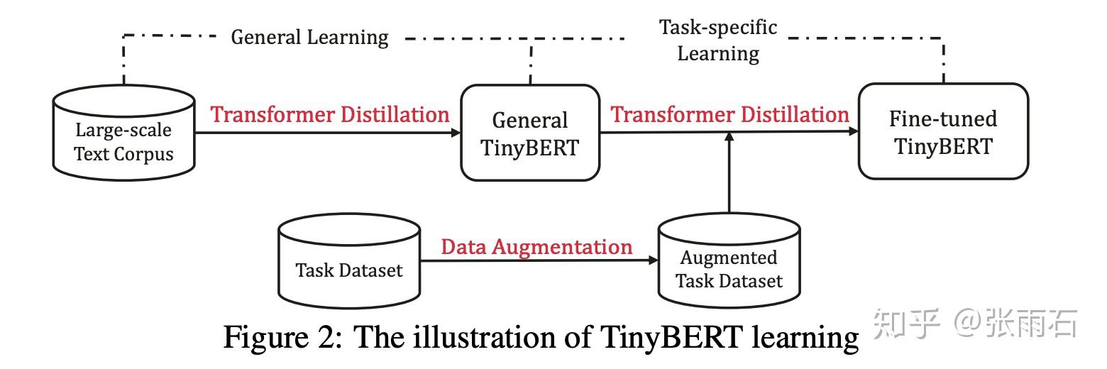 TinyBert: 模型蒸馏的全方位应用 - 知乎