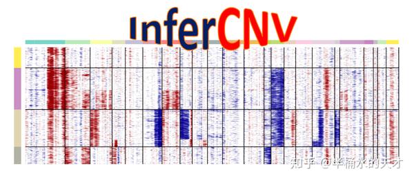 inferCNV教程（1）-从安装到文件准备 - 知乎