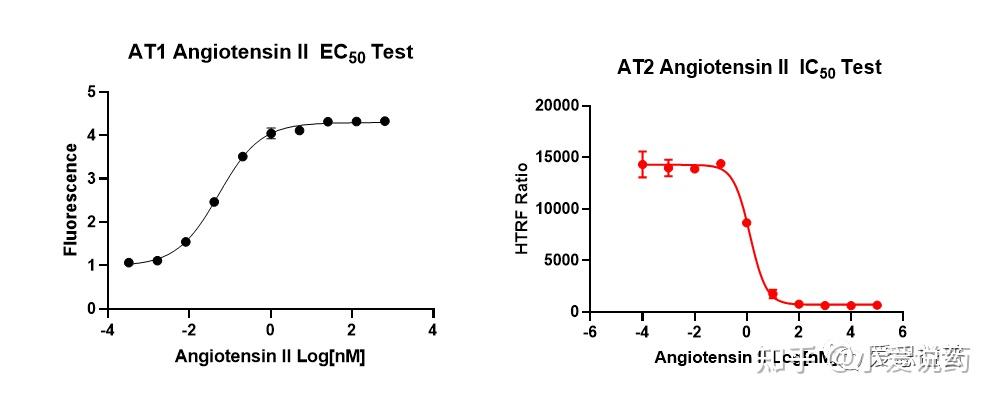《爱求索》之血管紧张素AT1和AT2受体在疾病中的作用 - 知乎