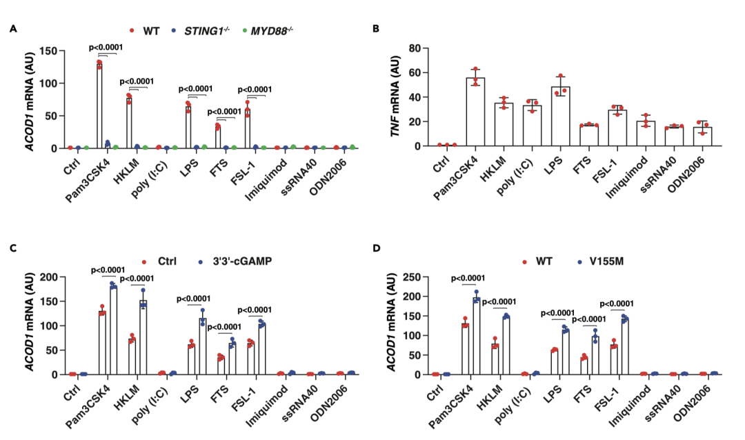 Cell新刊丨STING1-MYD88 复合物驱动 ACOD1/IRG1 在致死性先天免疫中的表达和功能 - 知乎