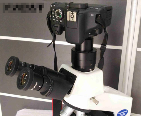 显微镜选购终极指南，全是干货想买必看！ - 知乎