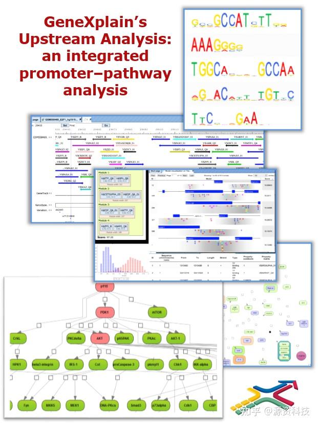 Upstream Analysis知多少？启动子-通路分析怎么做？ - 知乎