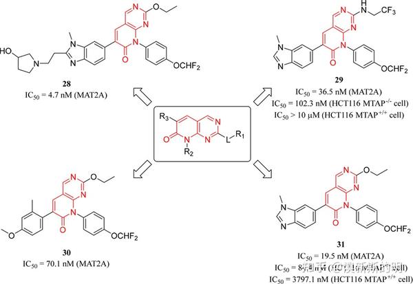 甲硫氨酸腺苷转移酶2A (MAT2A)作为抗癌靶点的结构、功能和抑制剂 - 知乎