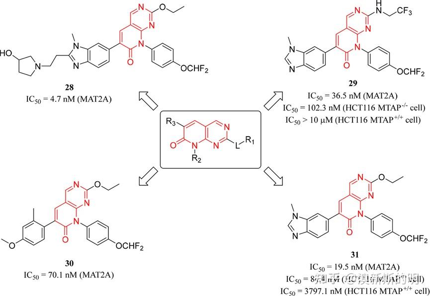 甲硫氨酸腺苷转移酶2A (MAT2A)作为抗癌靶点的结构、功能和抑制剂 - 知乎