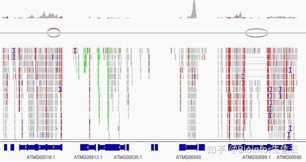 bulk RNA-Seq （2）比对到参考基因组 - 知乎