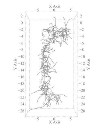 5G时代利用X射线CT进行高通量作物根系表型三维重建研究 - 知乎