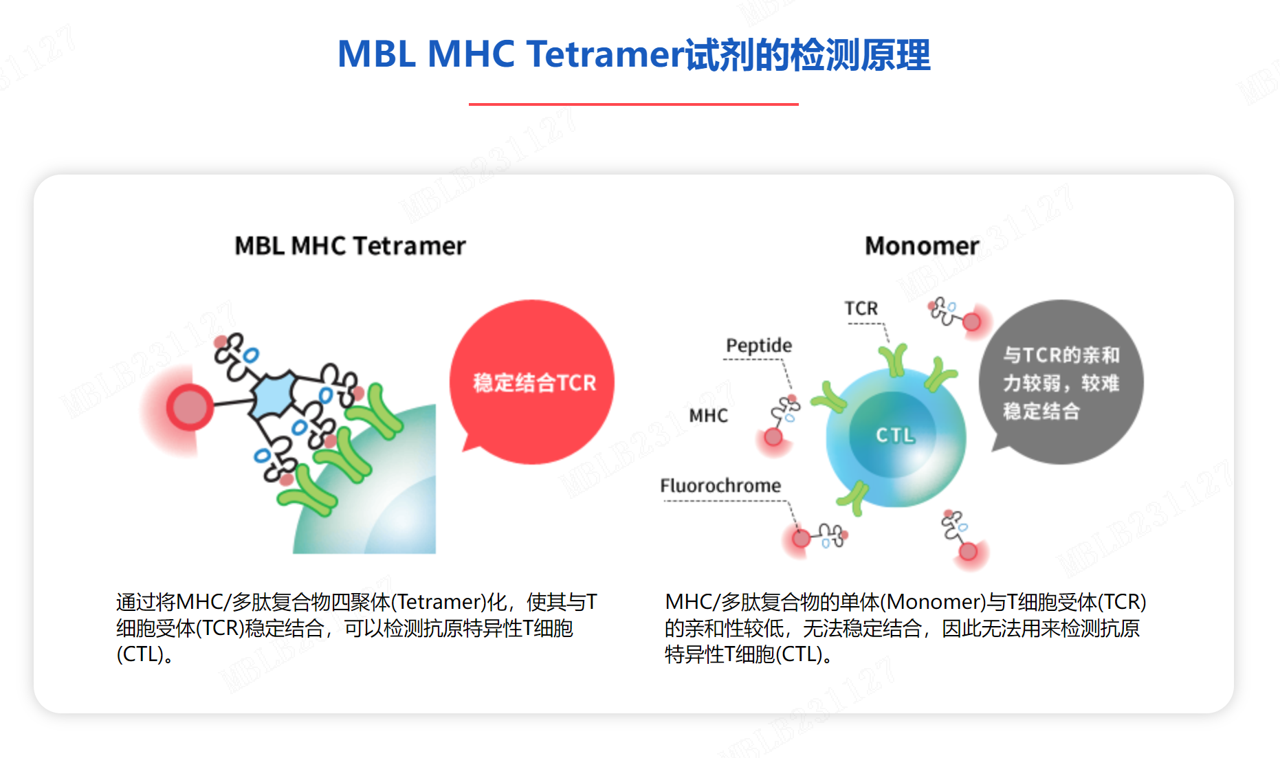 一文解密MHC四聚体（MHC-Tetramer） - 知乎
