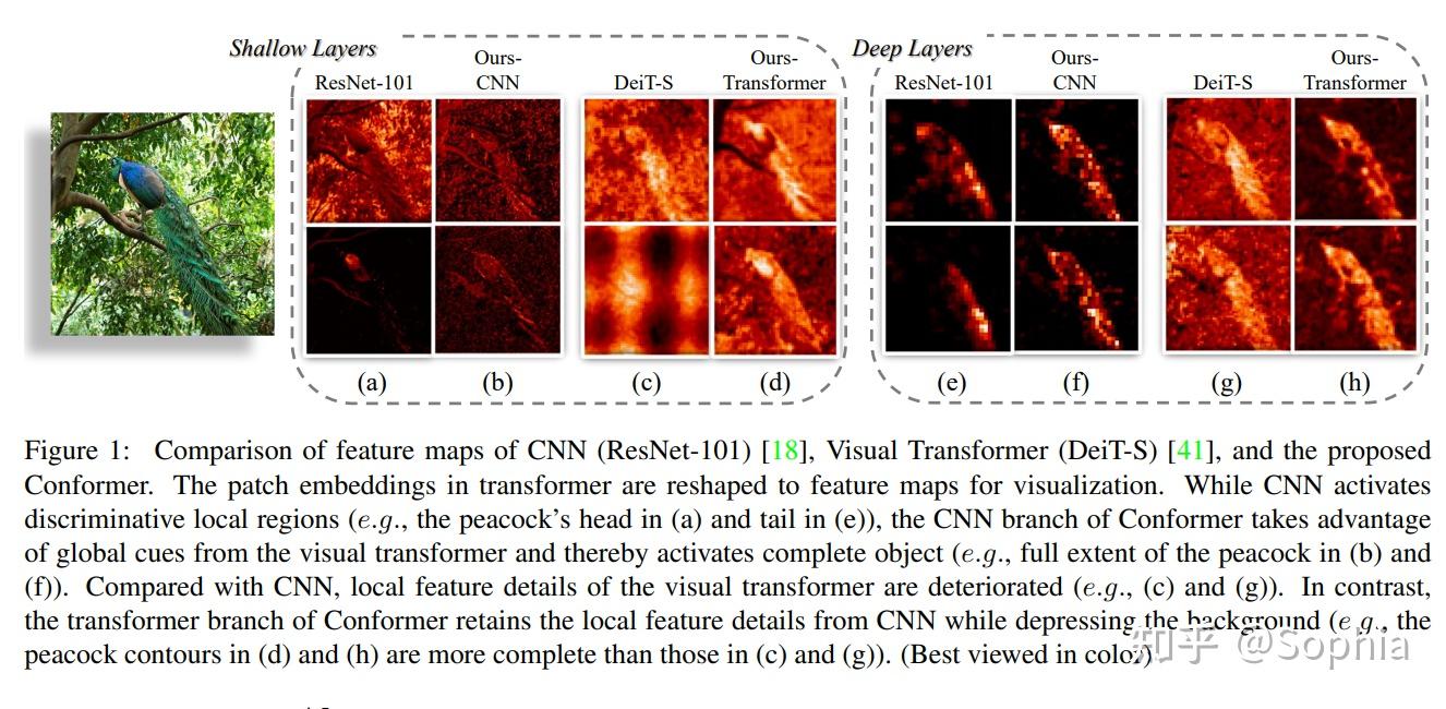 新模型！Conformer！Transformer与CNN的超强融合！中科院、鹏程实验室、华为出品 - 知乎